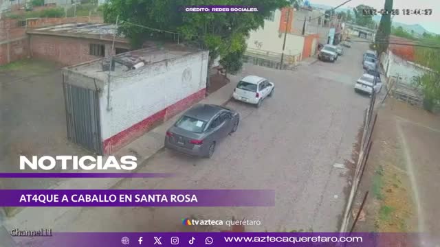 Graban vandalismo a caballo contra auto en Santa Rosa Jáuregui