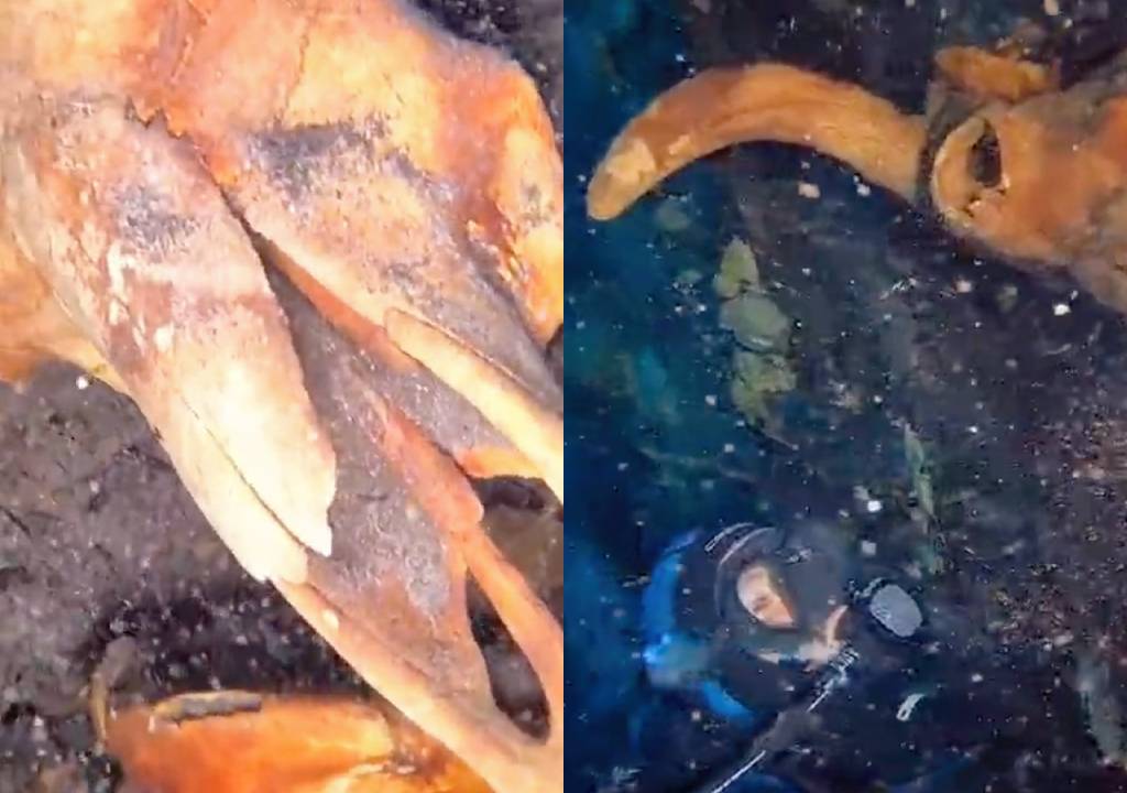 Hallan huesos en cenote de Yucatán; ¿De qué se tratan?