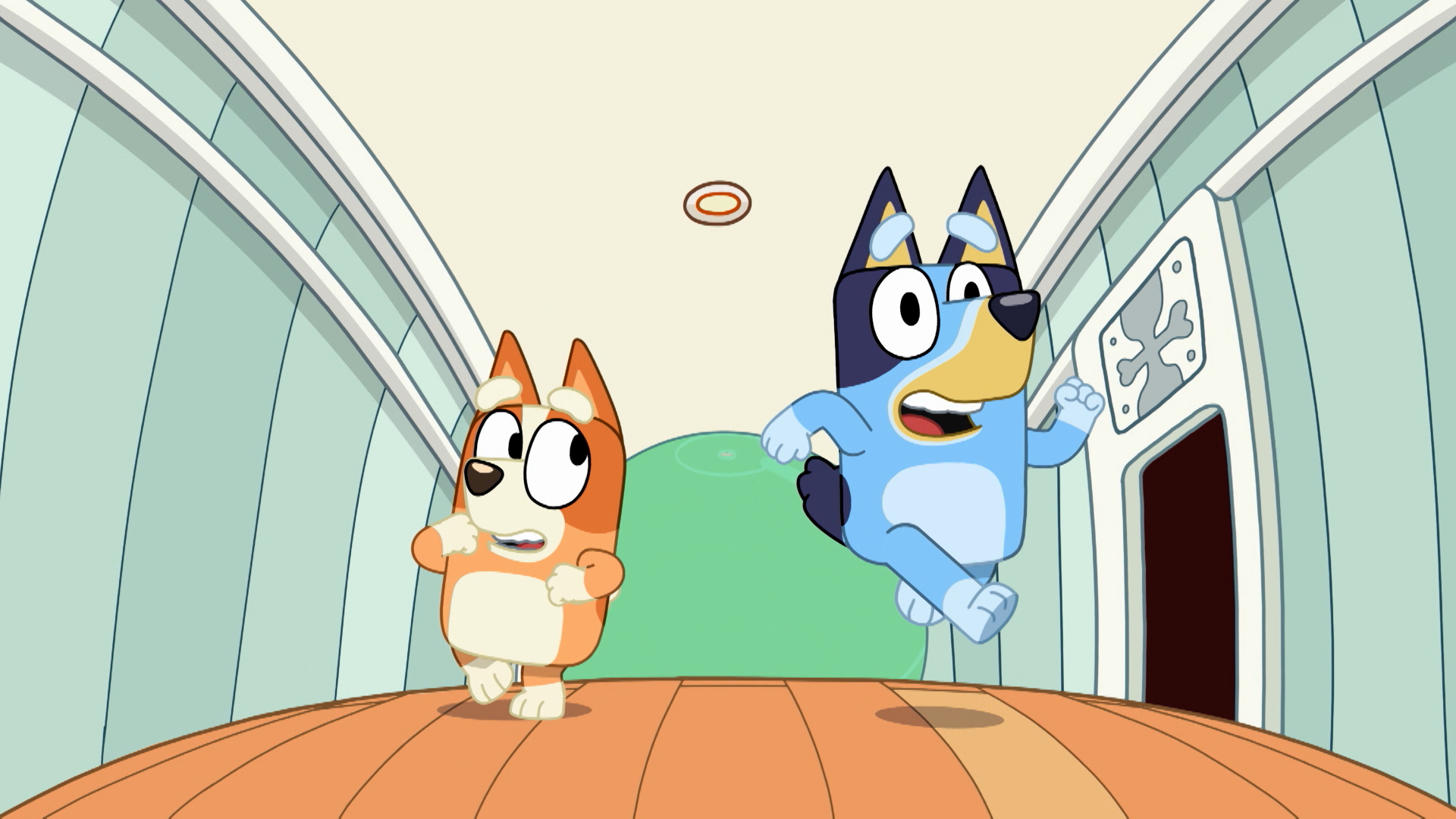 Bluey | Pelota de Yoga | Capítulos completos