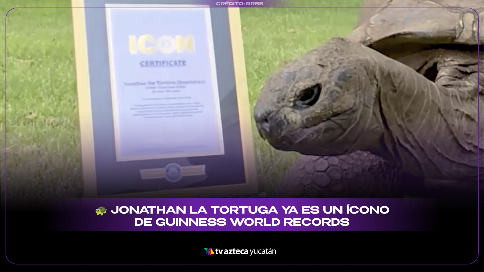 Jonathan, la tortuga más longeva del mundo, es reconocida como ícono de ...