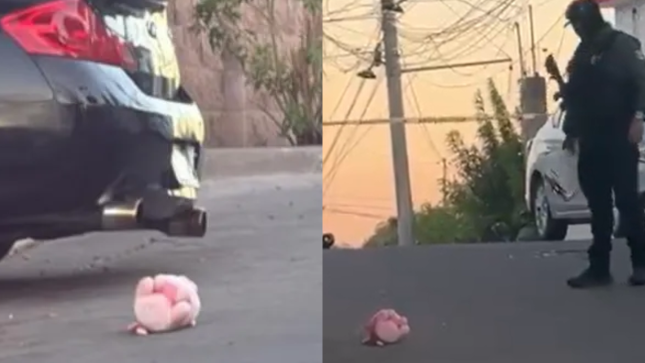Otro caso del "cerdito rosa": Asesinan a hombre en Culiacán, Sinaloa ...