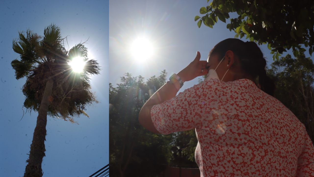 Clima La Laguna: Pronóstico para el 1 junio 2026