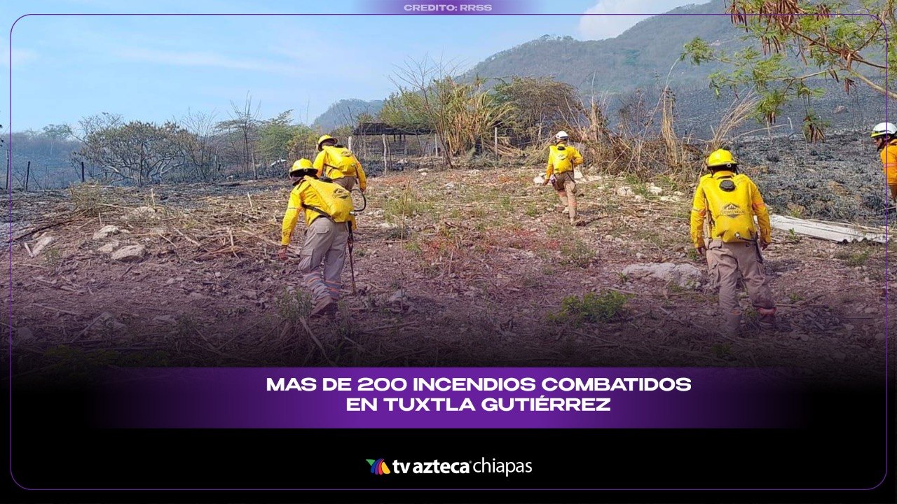 Bomberos de Tuxtla reportan 205 incendios en pastizales y terrenos ...