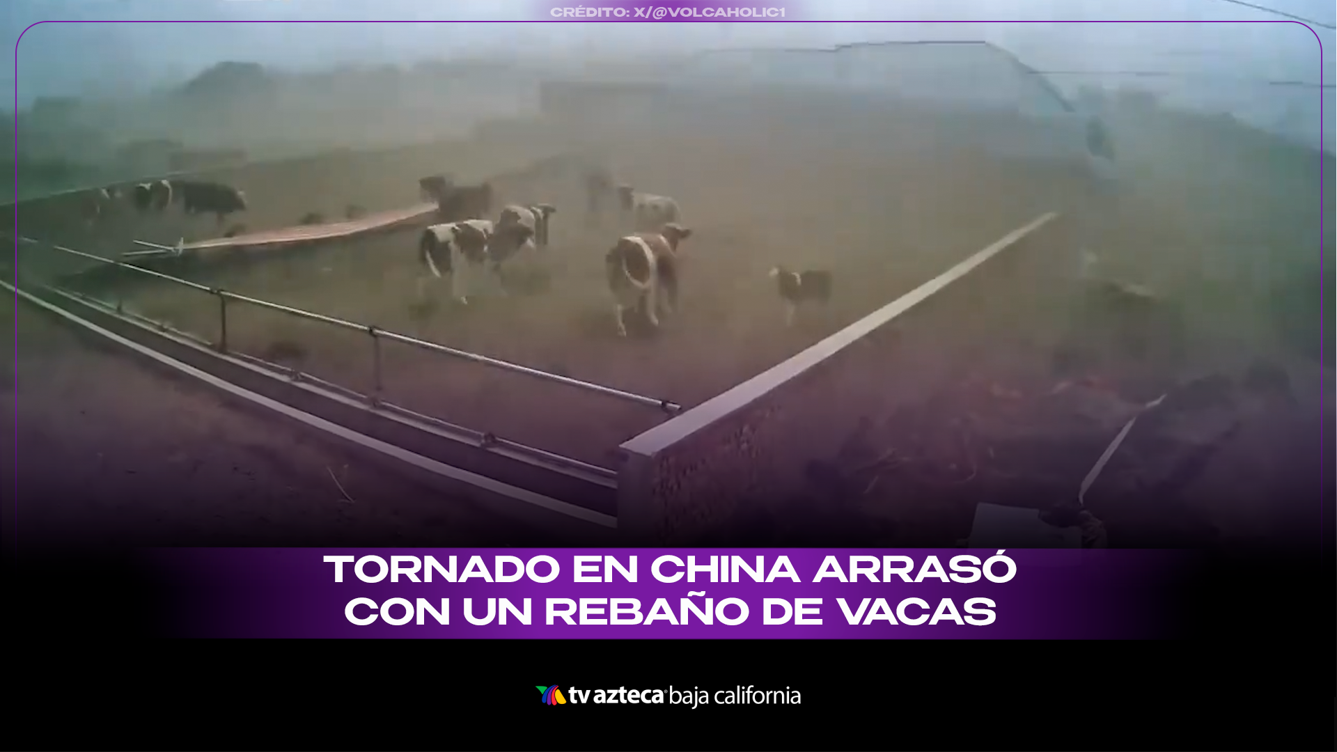 Tornado arrastra ganado en China y deja escenas impactantes