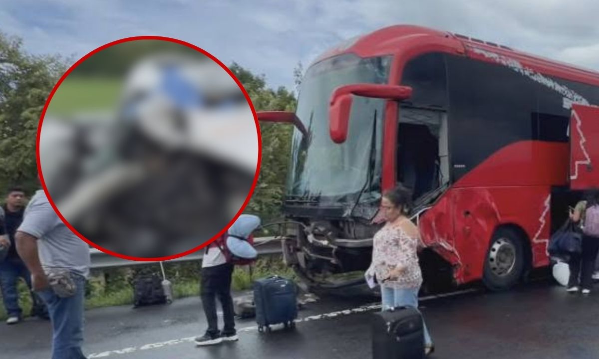 Causa de accidente en la autopista Cardel-Poza Rica hoy 12 junio 2026