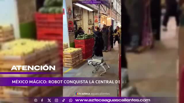 Robot humanoide y perro mecánico recorren la Central de Abasto en ...