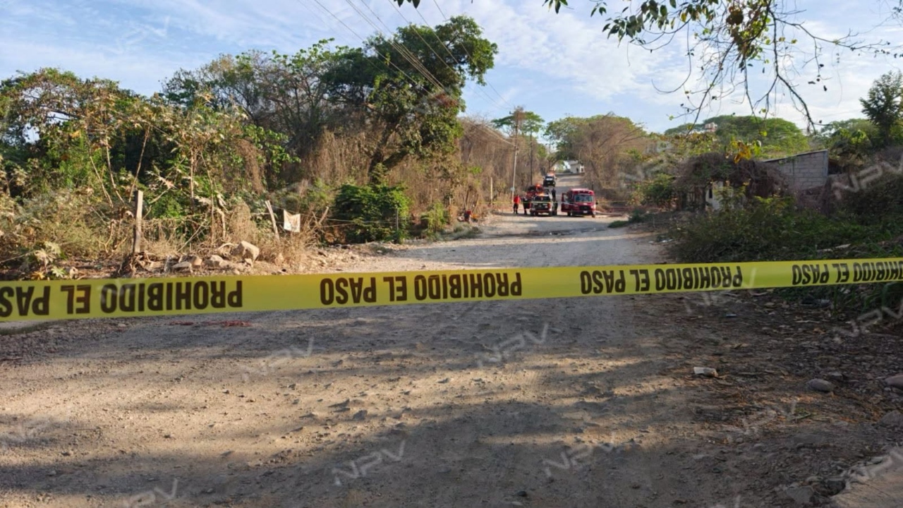 ¿Hay un asesino serial en Puerto Vallarta, Jalisco? Fiscalía revela ...