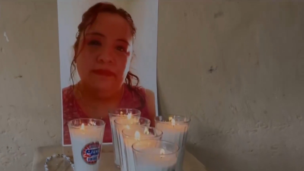 María Guadalupe murió durante balacera en fiesta patronal de León ...