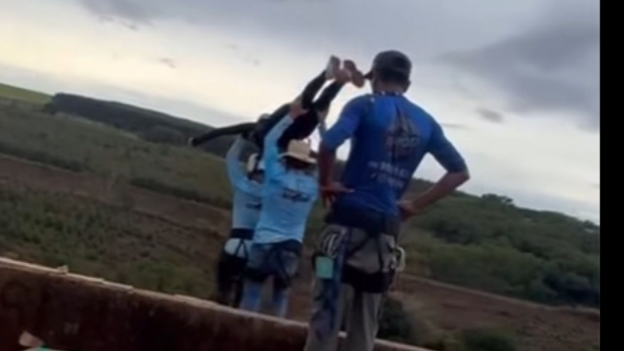 Tragedia en Brasil: mujer de 24 años fallece en salto extremo sin ...