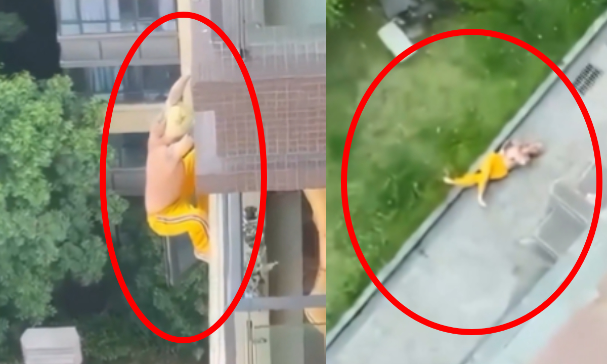Video de entrenador fitness cayendo de edificio tras ser descubierto ...