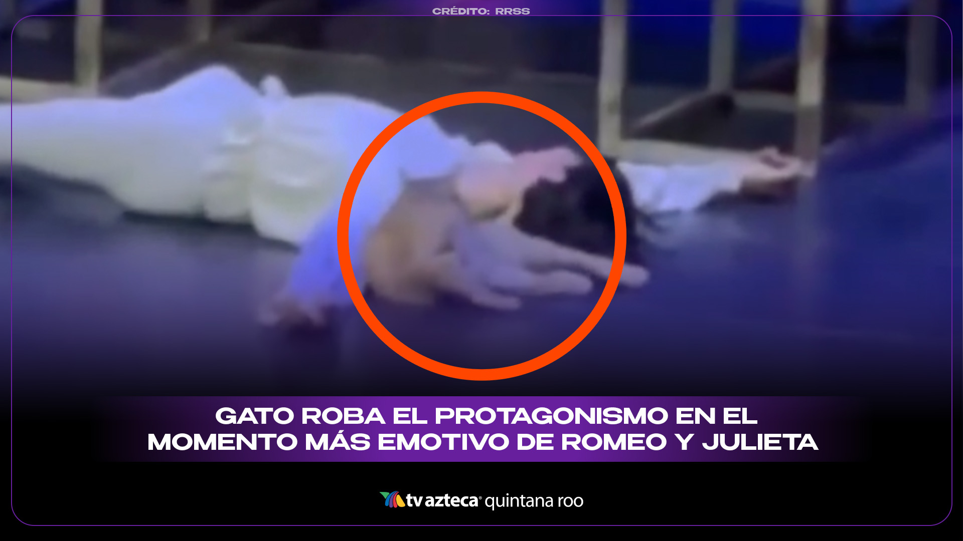 Gatito se vuelve viral tras interrumpir escena de Romeo y Julieta y ...