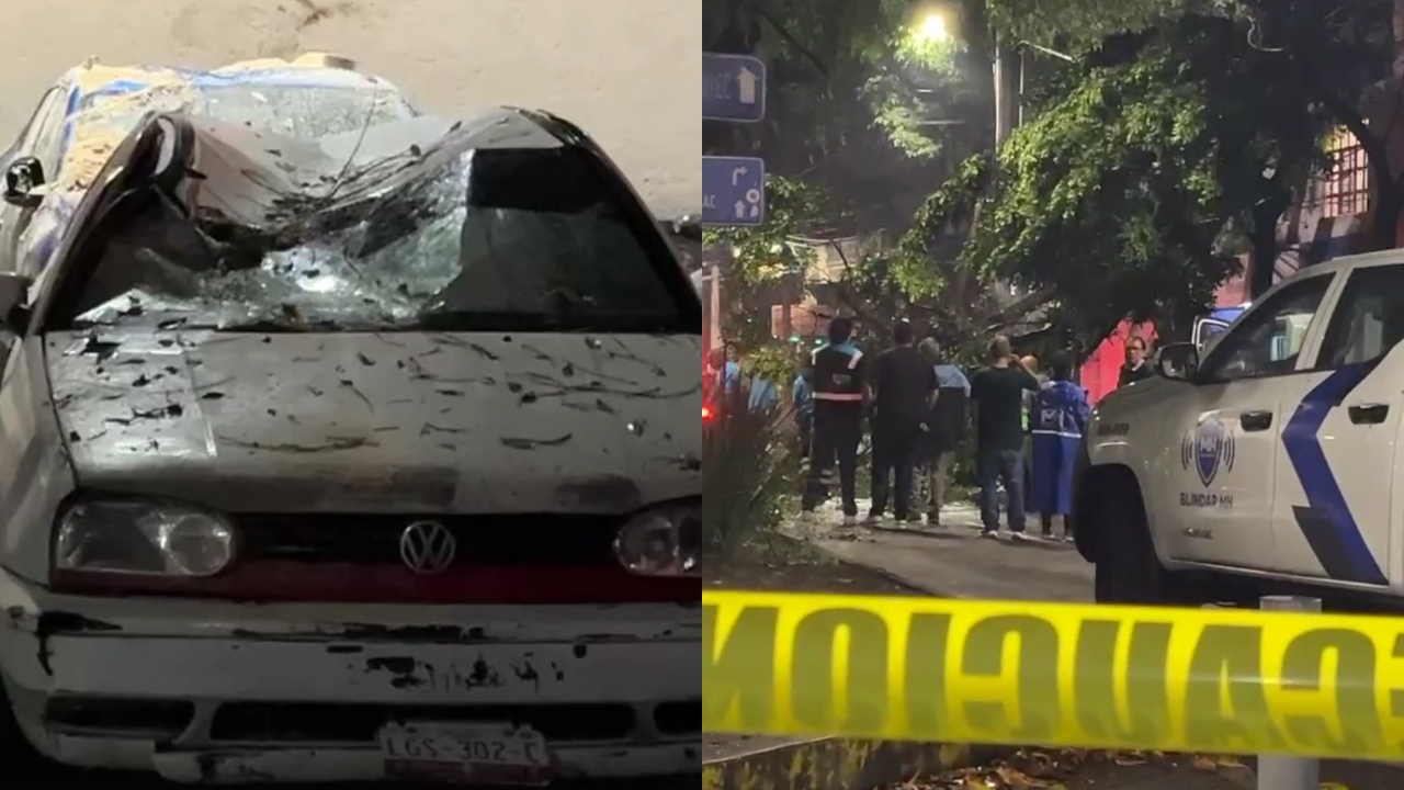 Caída de árboles deja autos destrozados y calles bloqueadas en Miguel ...