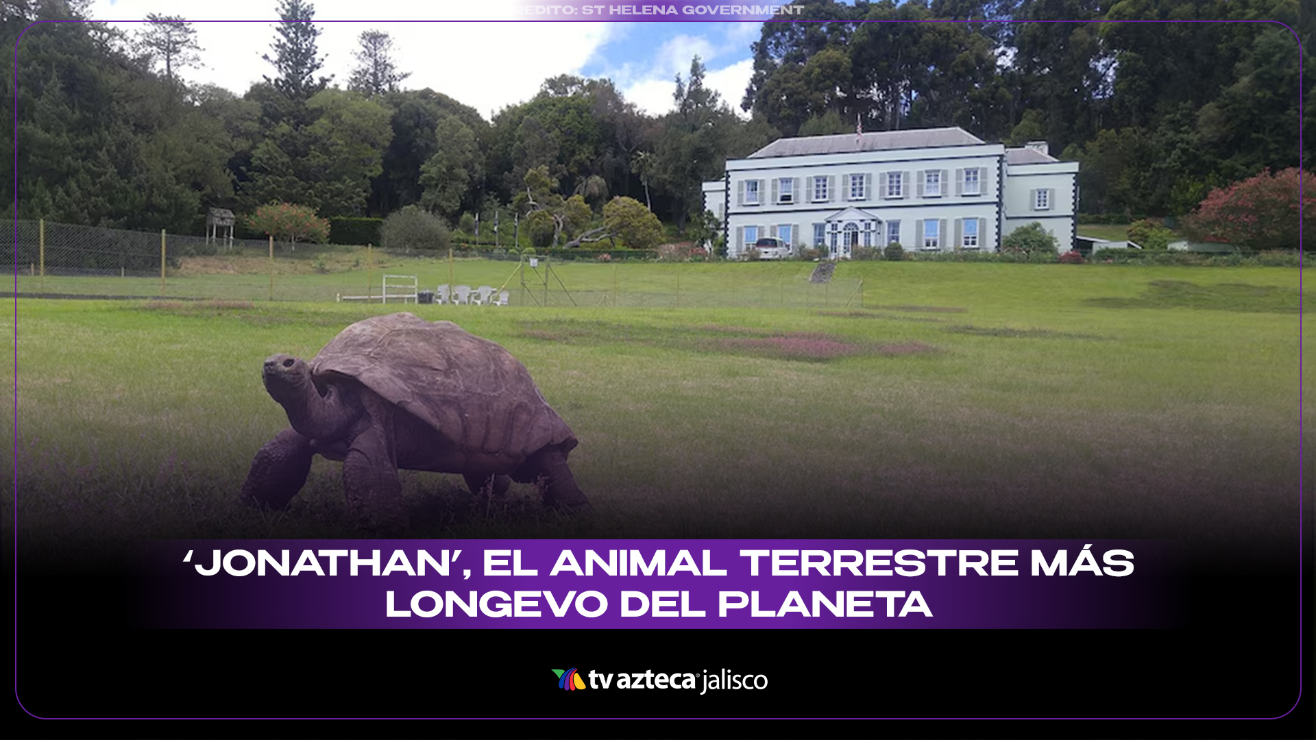 La tortuga Jonathan sigue haciendo historia: cumple 194 años y mantiene ...